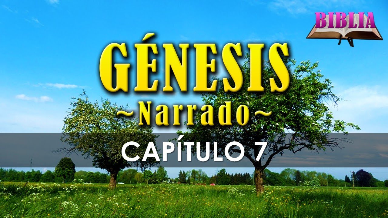 Génesis Capitulo 7 Yahvé Dijo A Noé Entra En El Arca Tú Y Tu Familia ...