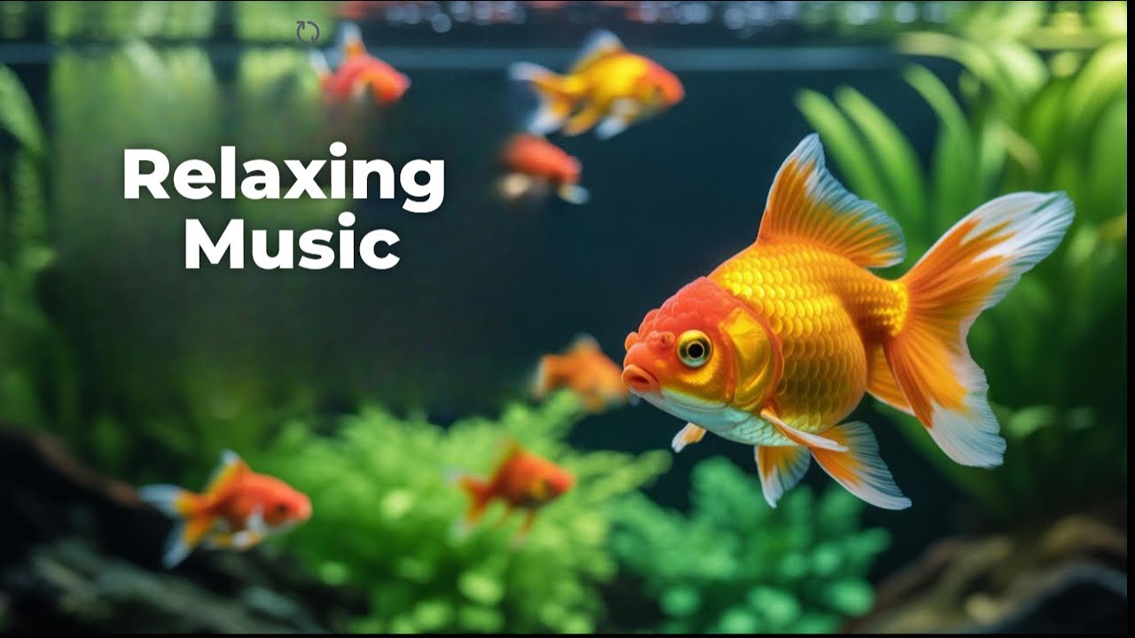 Relaxing Music, Piano Music, Meditation, Yoga, Deep Sleeping Music to ...
