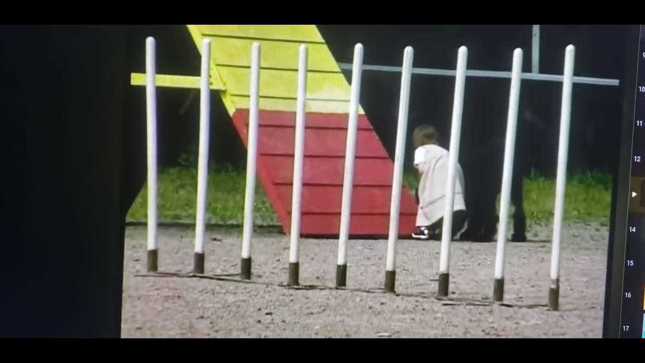 Teletubbies In The ABC Order - Dog Training - YouTube