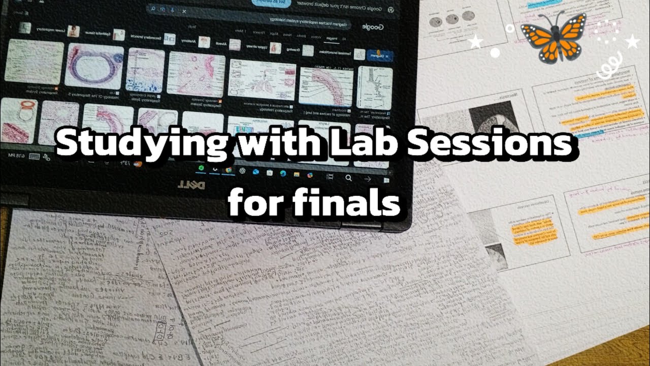 Medical Student Life: Study Vlog, Lab Work & Late-Night Hustle ˚⋆𐙚｡ 𖦹 ...