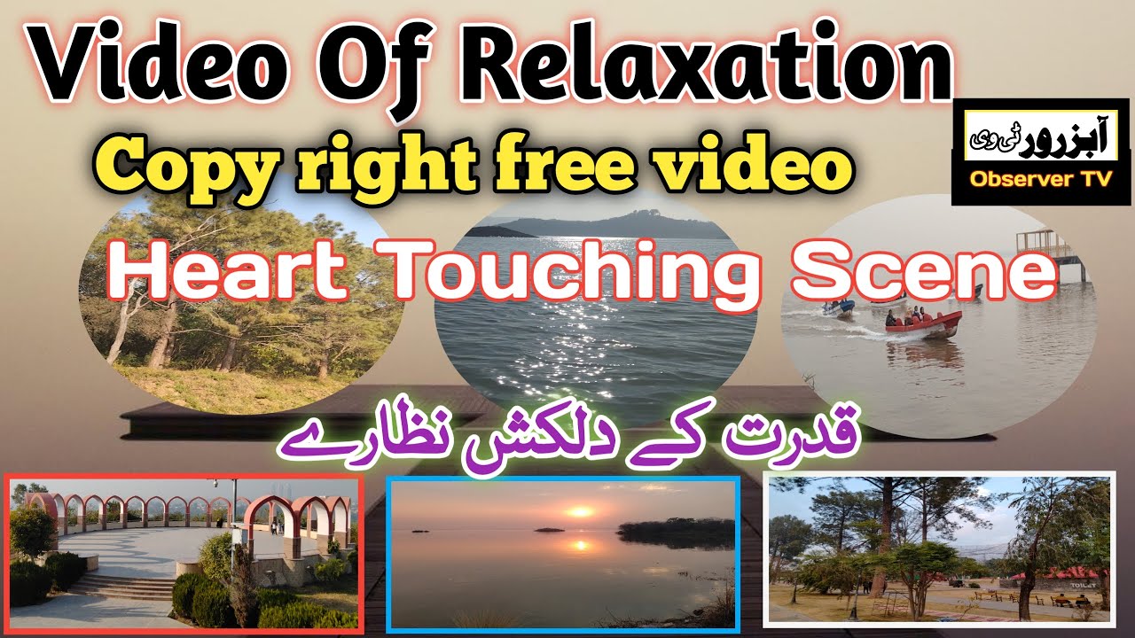 Video of Relaxation with beautiful natural scene & music | Amazing ...