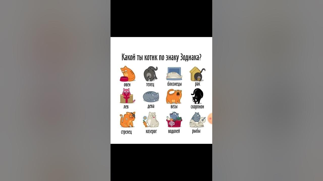 Какой ты котик по знаку зодиака? - YouTube
