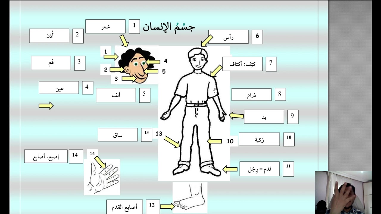 Arabic Lesson , vocabulary: human body in Arabic Arapça insan vücudu ...