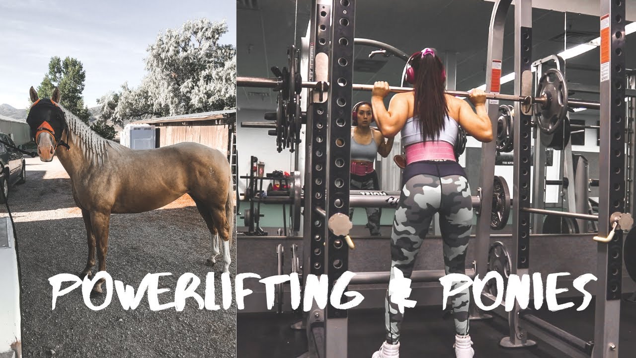 Powerlifting + Ponies ♡ - YouTube
