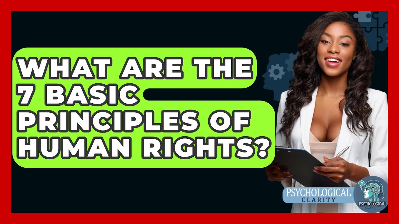 What Are the 7 Basic Principles of Human Rights? - Philosophy Beyond ...