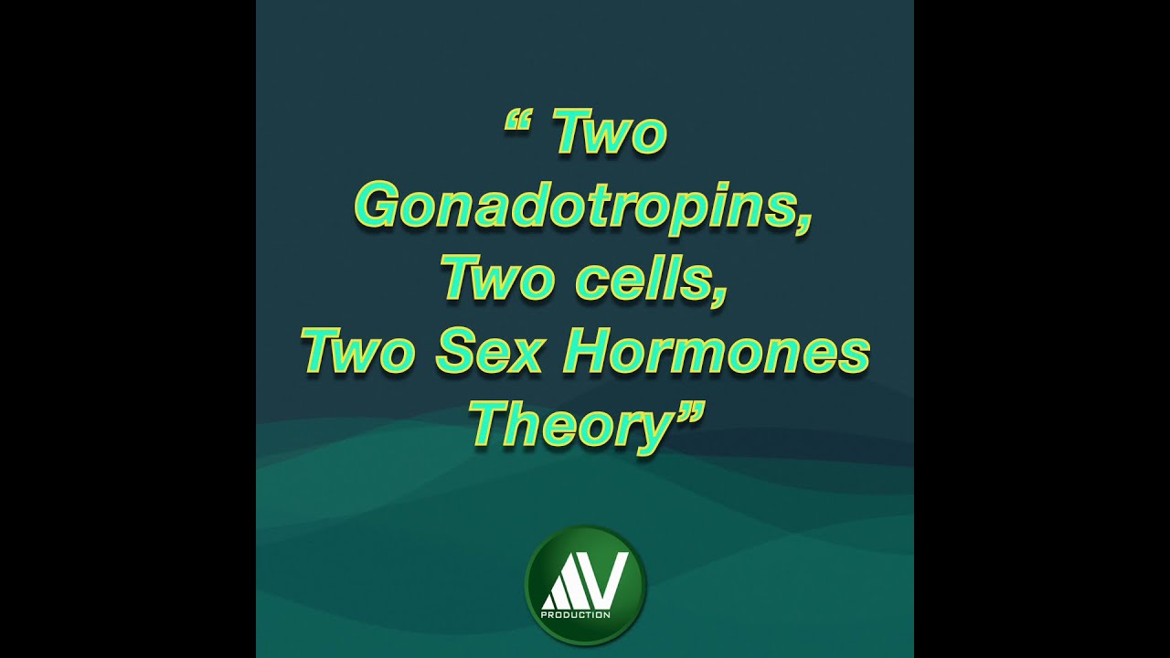 Two Gonadotropins, Two cells, Two Sex Hormones Theory” - YouTube
