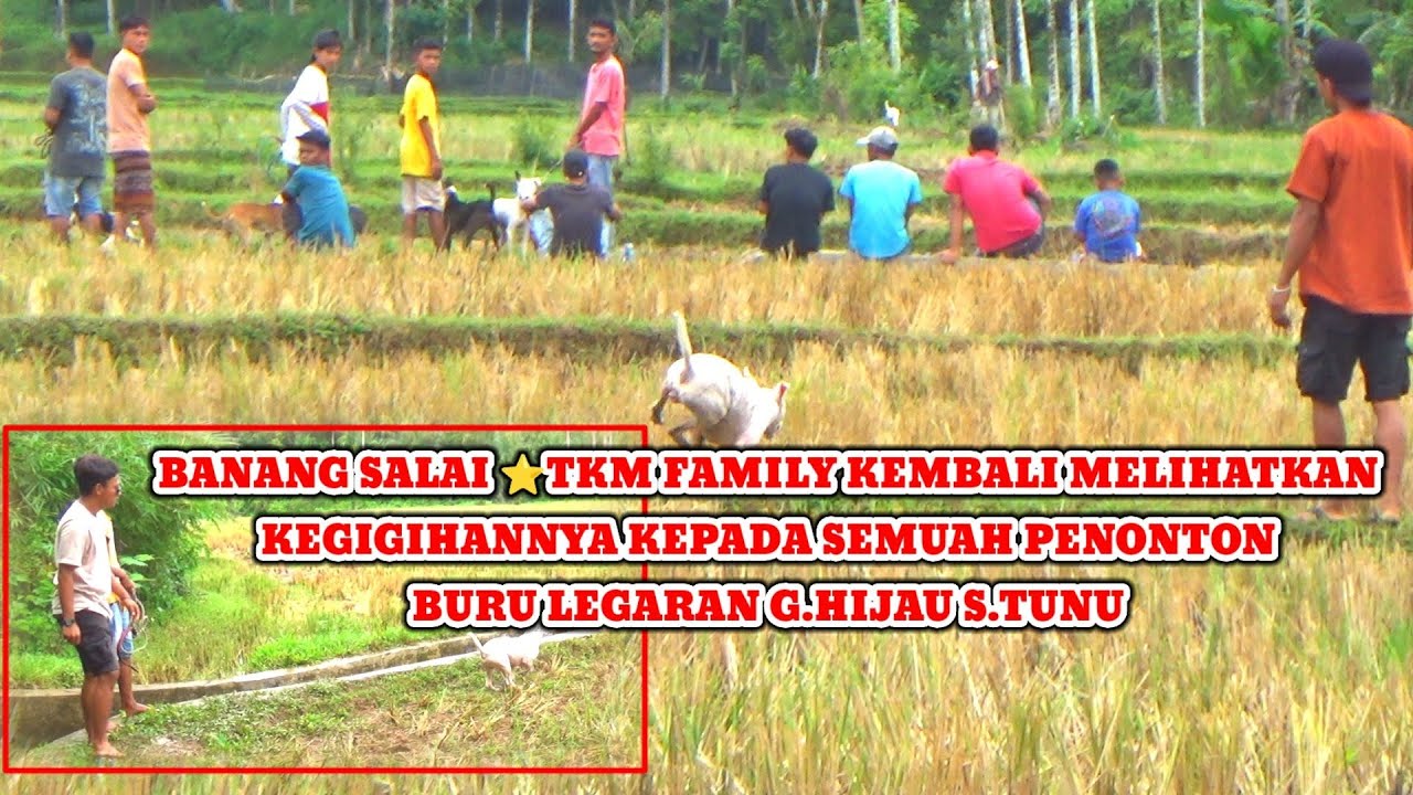 banang salai ⭐TKM FAMILY kembali melihatkan kegigihannya kepada semuah ...