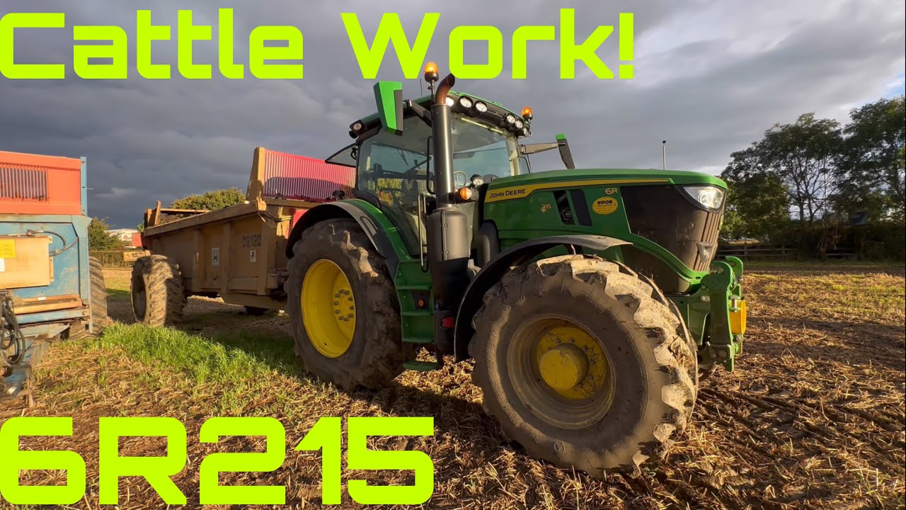 Fetching Cattle in From Grass! Wet Day! - YouTube