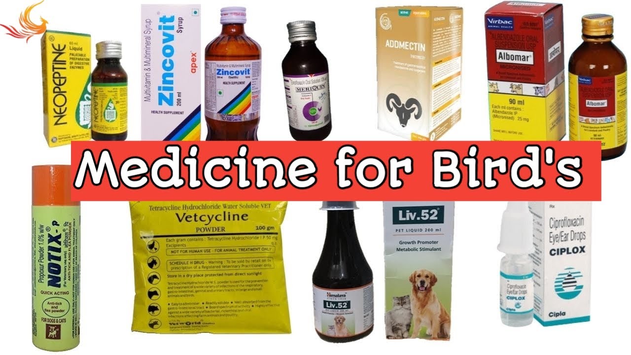 Medicine For Birds @srkanna82PBF @IndianBudgiesandLoveBirds #Birds ...