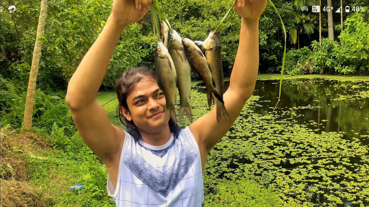 I Caught Many Fish 😃🐟🐟 Using Bamboo rod #Fish #fishing #fishingtips - YouTube
