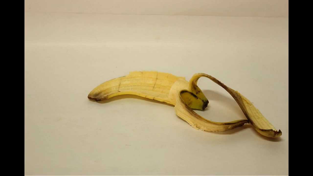 Food Morphing - YouTube