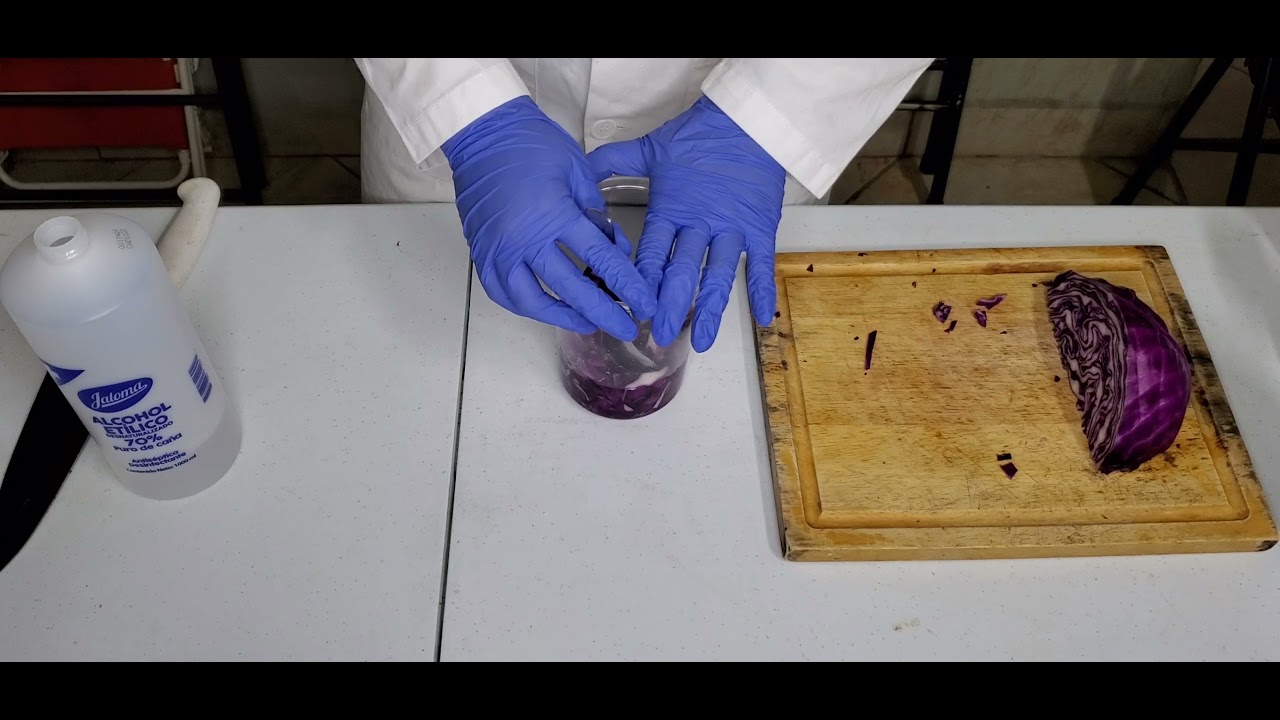 Indicador de pH de Col Lombarda (Col Morada) - YouTube