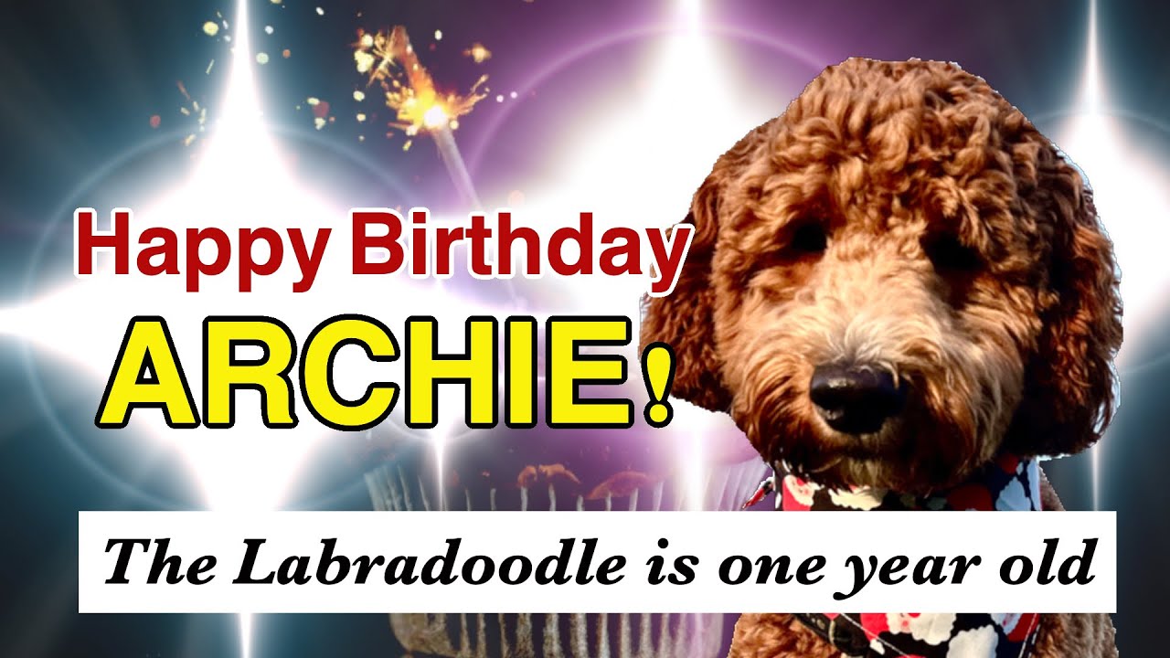 Archies first Birthday, Happy Birthday Archie! - YouTube