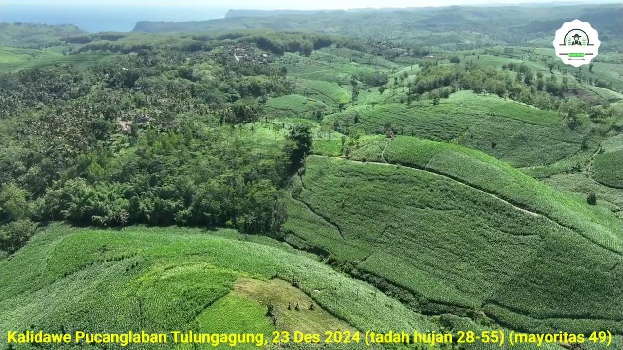 106# Tulungagung Pucanglaban Kalidawe, 23 Des 2024 - YouTube