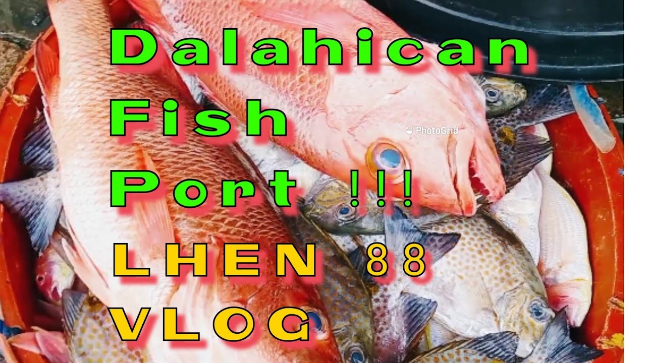FISH PORT DALAHICAN LUCENA CITY MURANG BILIHAN NG ISDA #fishport # ...