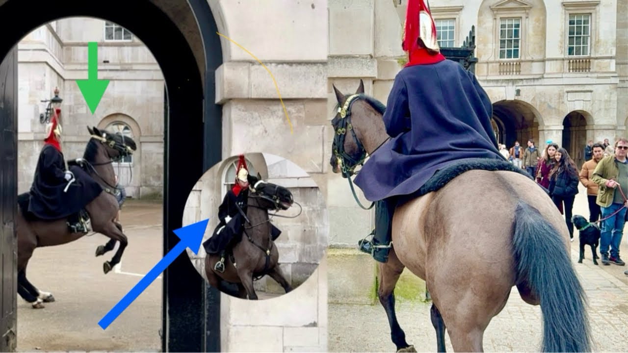 “Incredible Horse Rescue: Royal Guard's Unforgettable Act of Heroism ...