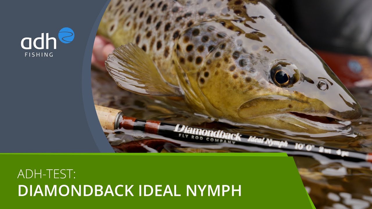 Gear Review: Diamondback Ideal Nymph Rod - Wir Testen die Nymphenrute ...