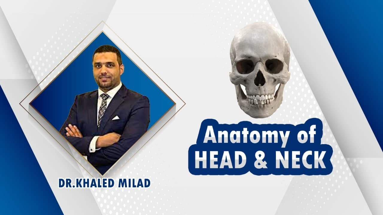 H&N 1 - Skull & Cervical vertebrae | Dr. Khalid Milad - YouTube