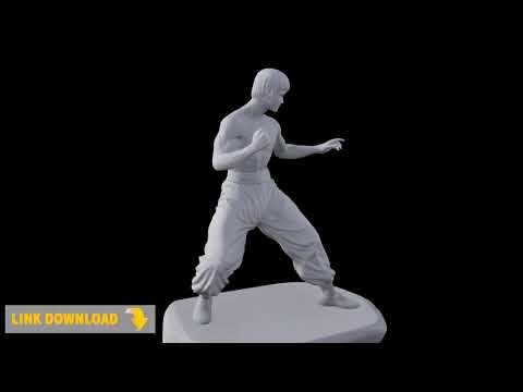 bruce lee 3d model for printing download video