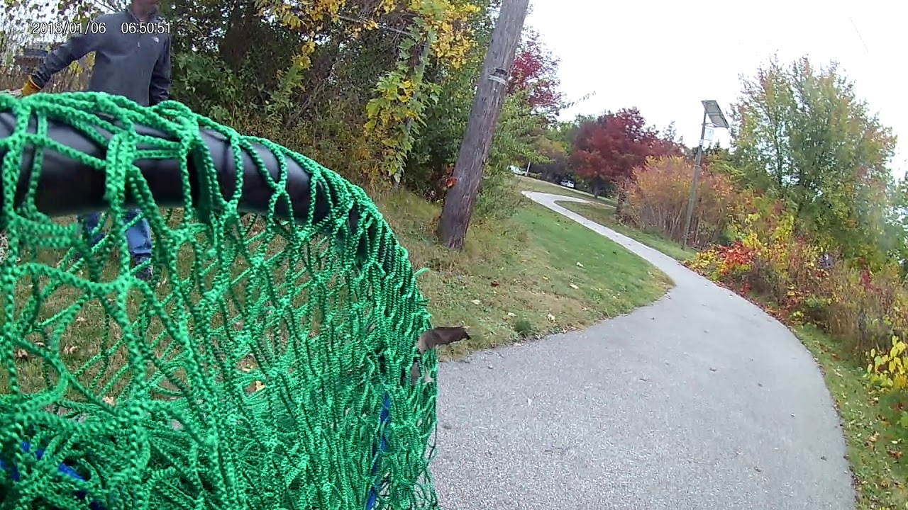 duck...duck...Goose !! with south bend lost and found - YouTube