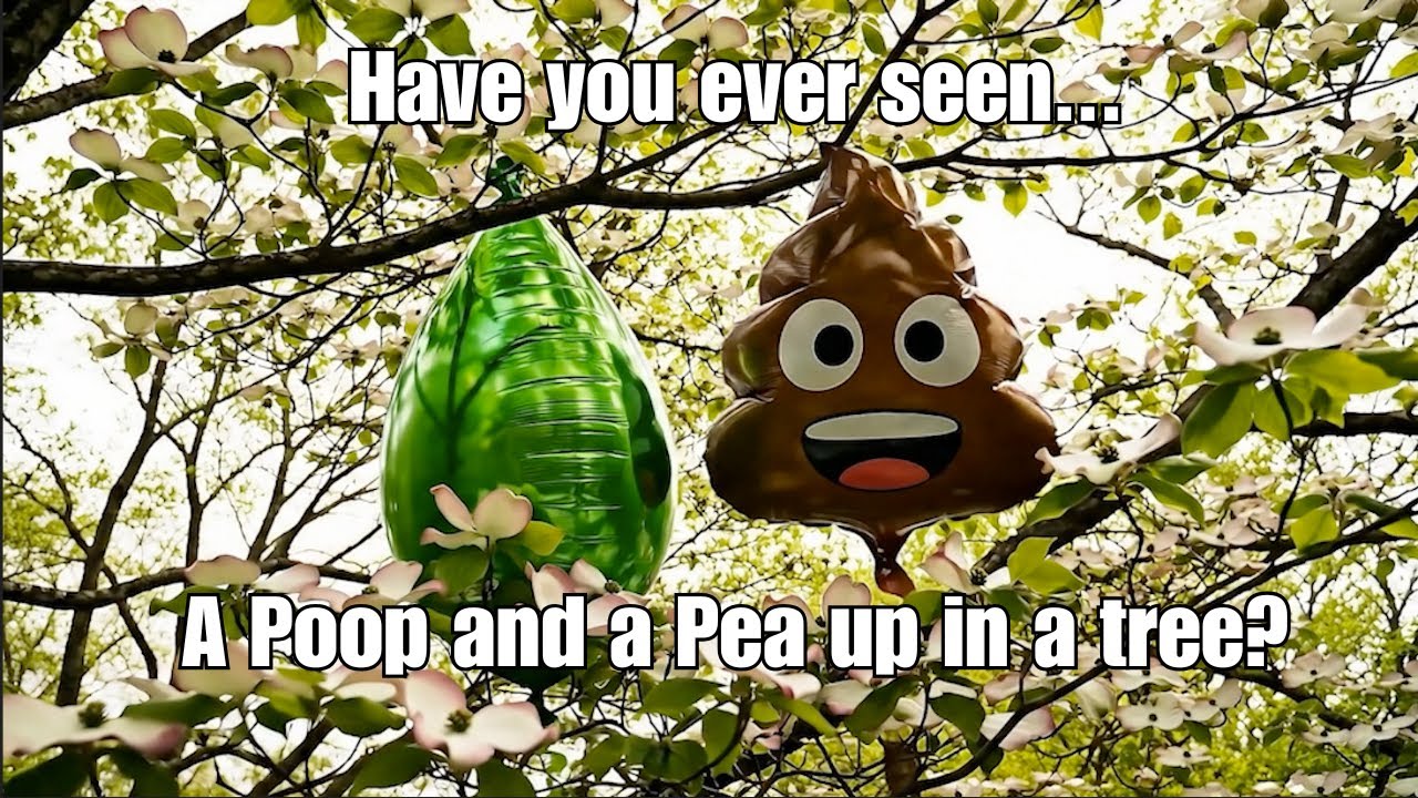 A Poop and a Pea up in a tree?!?! - YouTube