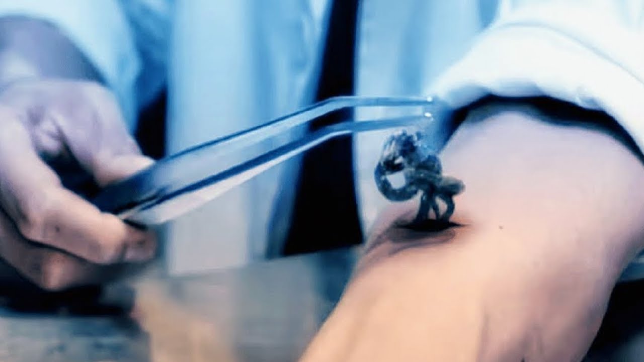 Scientist uses himself AS a TEST SUBJECT | sci fi movie recap - YouTube