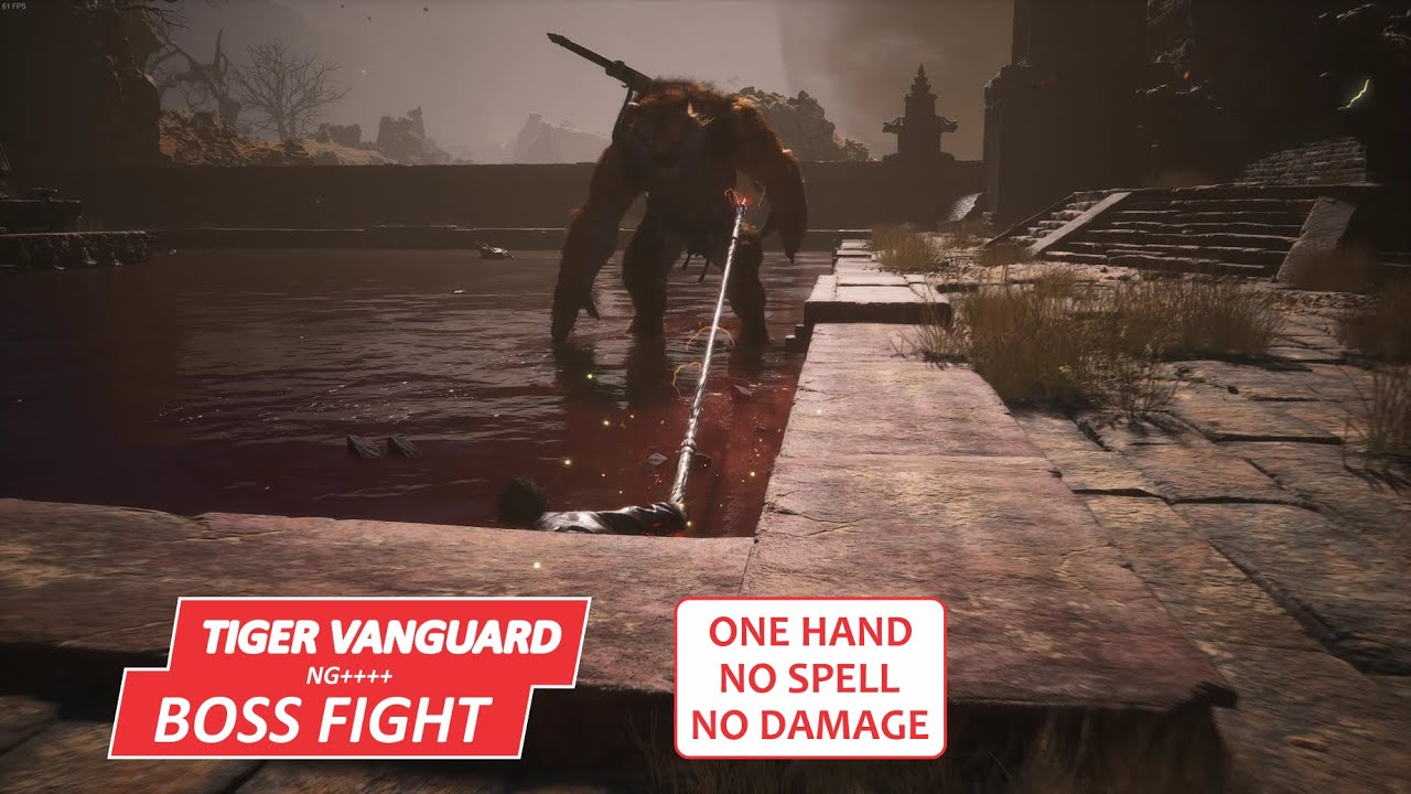 Hết trò Solo 1 tay với anh Hổ | One Hand, no spell, no damage Tiger ...