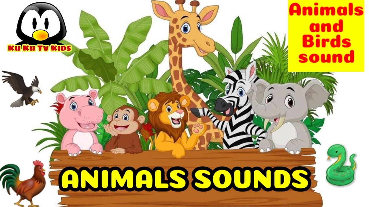 Animals sounds | birds sound | animals names | animals and birds ...
