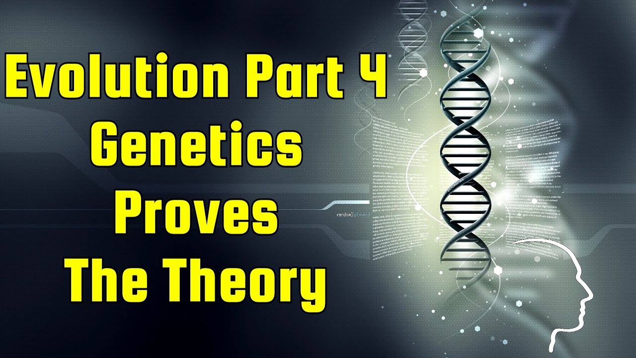 Evolution Part 4 - Genetics Proves the Theory - YouTube
