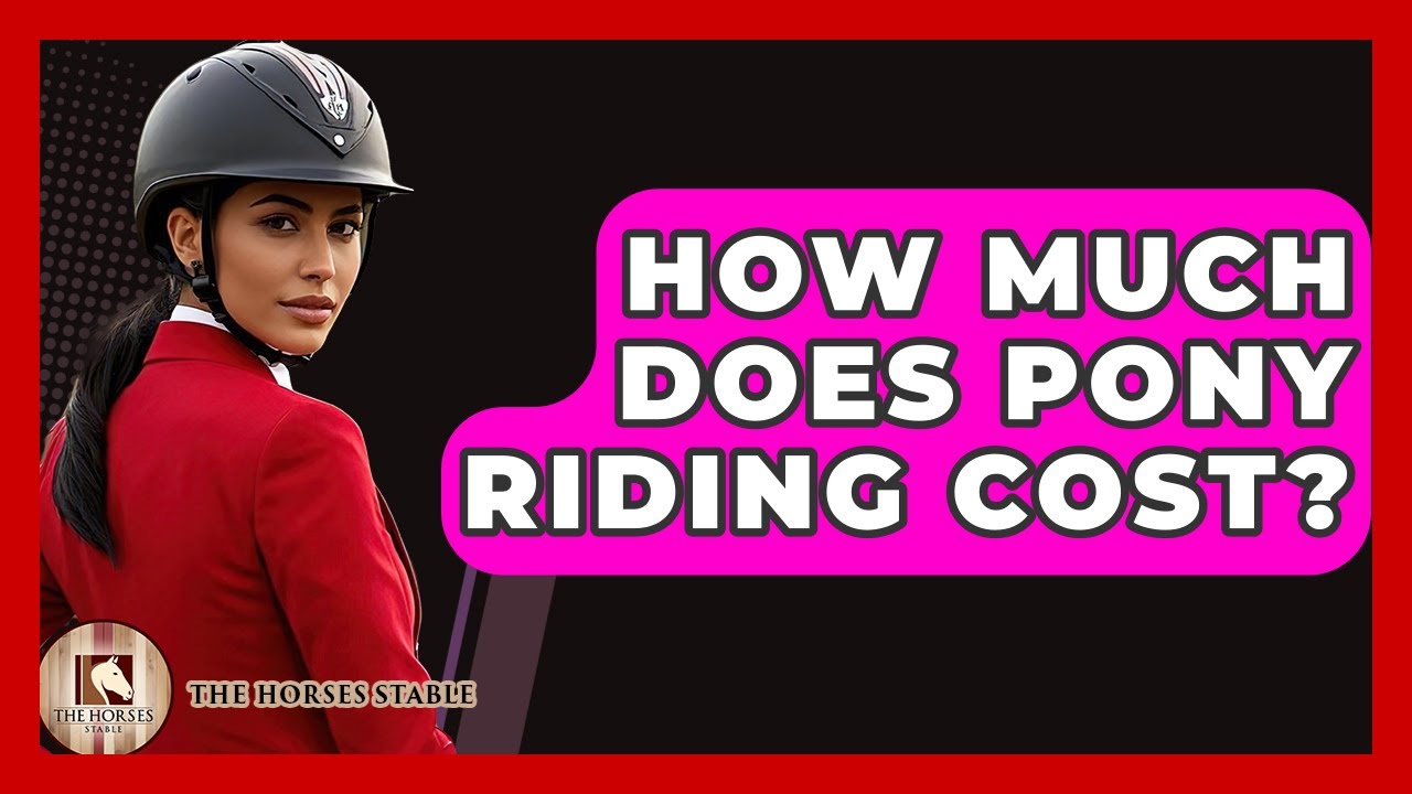 How Much Does Pony Riding Cost? - The Horses Stable - YouTube