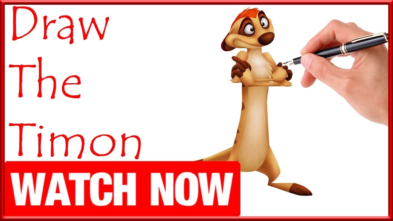 How To Draw The Timon - Learn To Draw - Art Space - YouTube