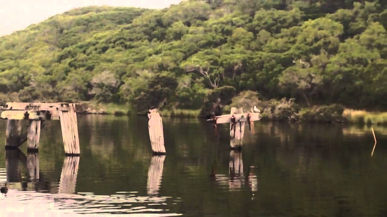 Video Two - Torbay Inlet - YouTube