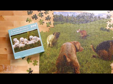 Gag Gift Puzzles