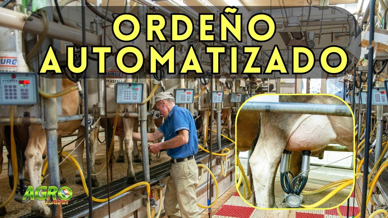 SISTEMA AUTOMÁTICO DE ORDEÑO Ventajas y Beneficios - YouTube