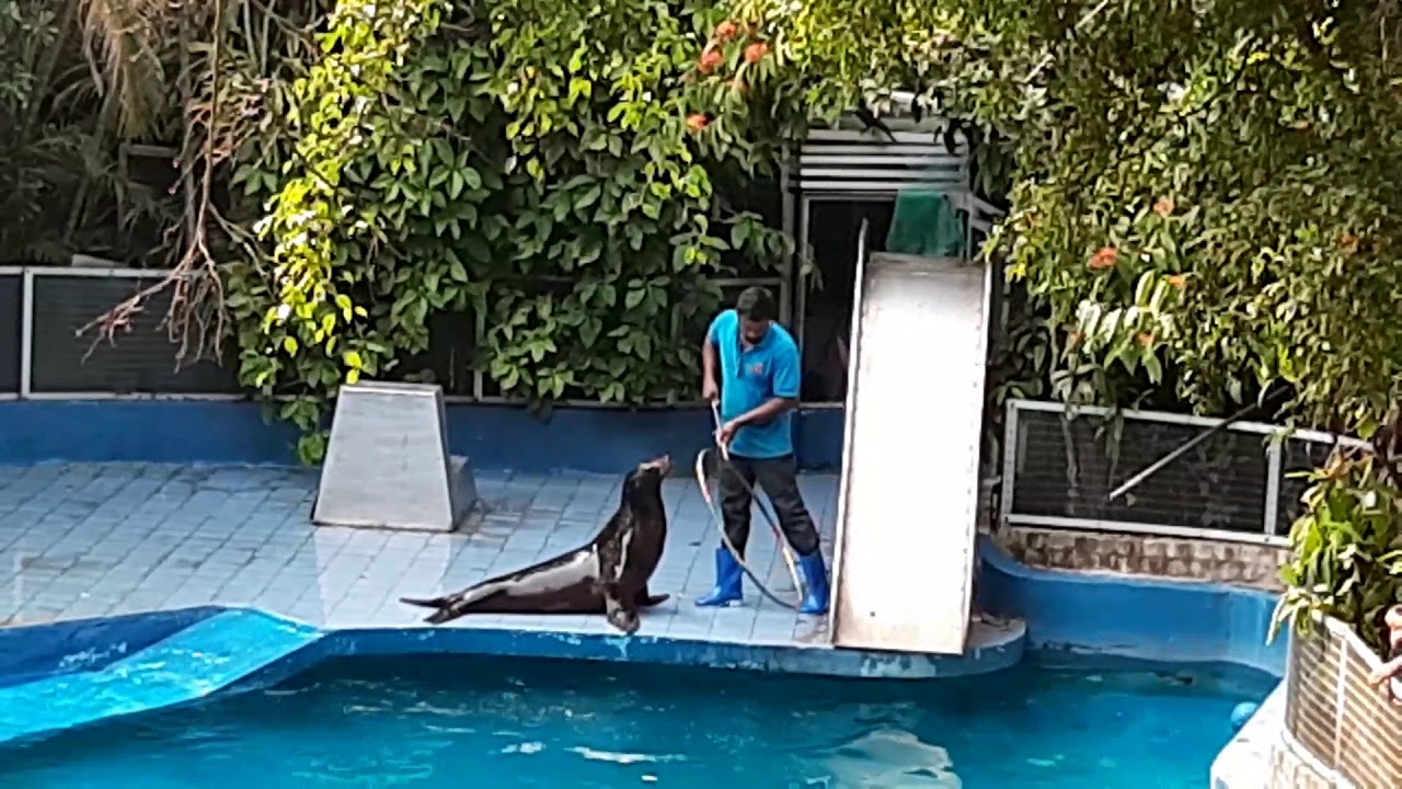 Colombo zoo - YouTube