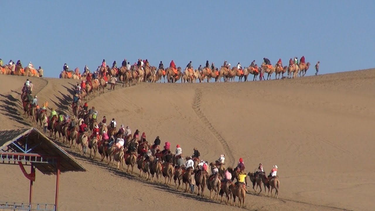 Silk Road 05 - Dunhuang experience camel caravan just like in ancient ...