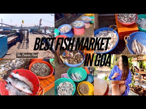 Best Fish Market and Sea Food market in Goa | Best quality and cheapest ...
