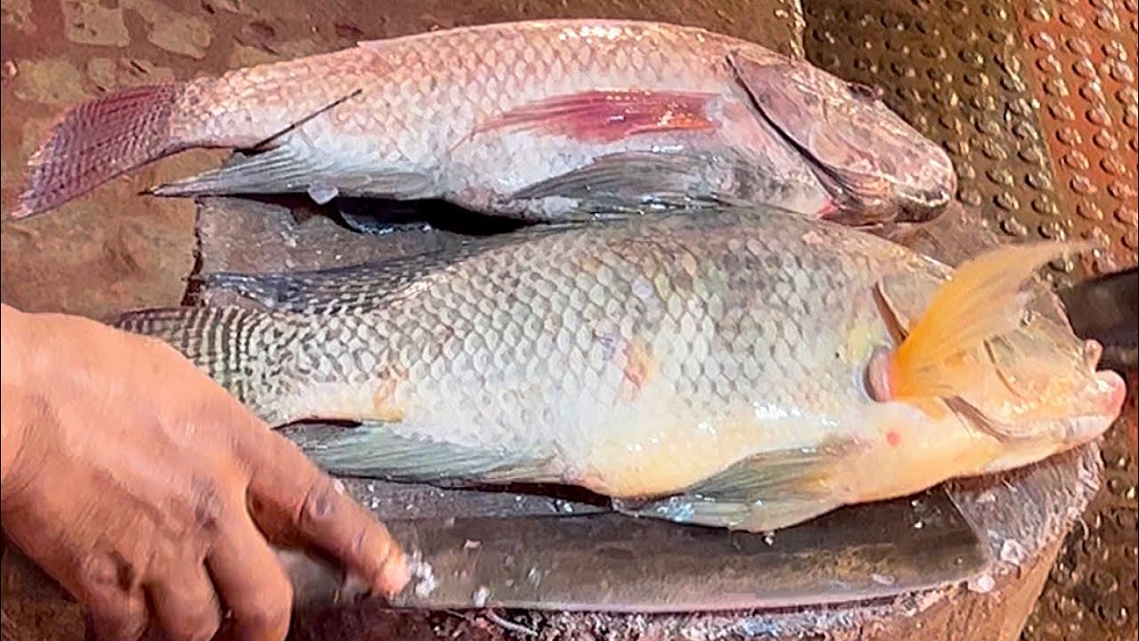 Big Live Tilapia Fish Cleaning & Chopping In Bangladesh Fish Market ...