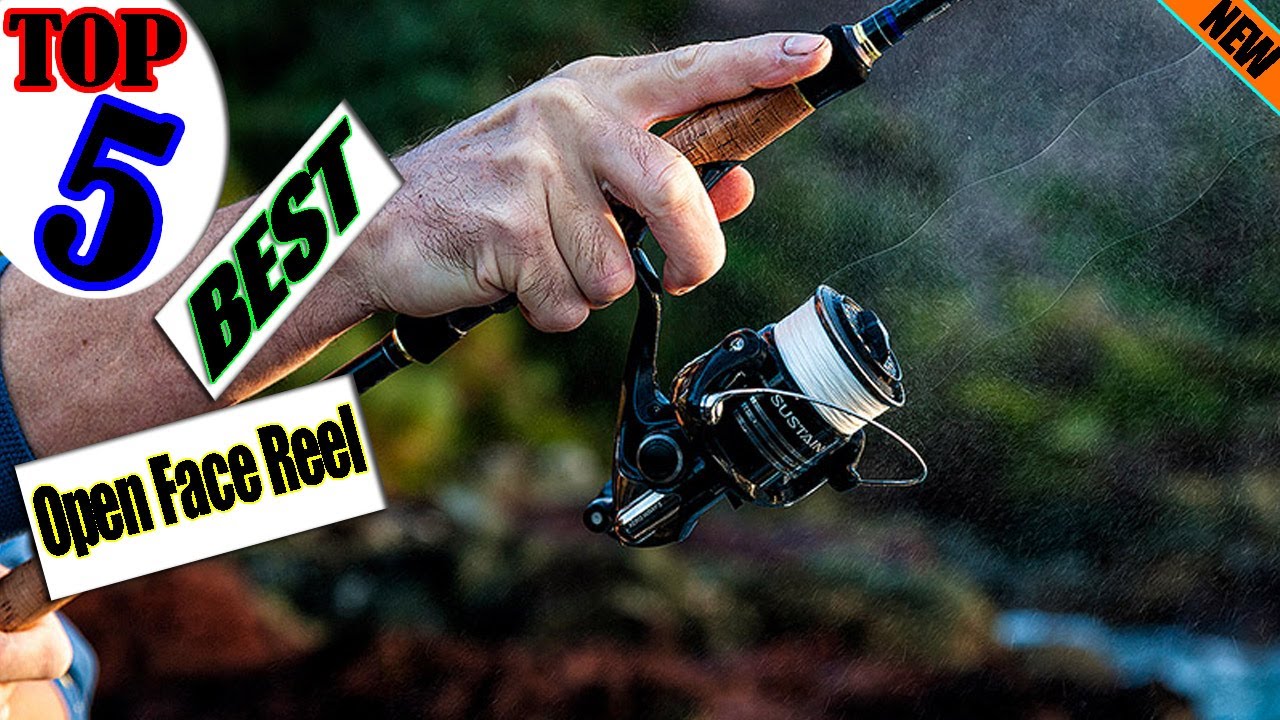 👉 5 Best Open Face Reel: 2022 Buying Guide - YouTube