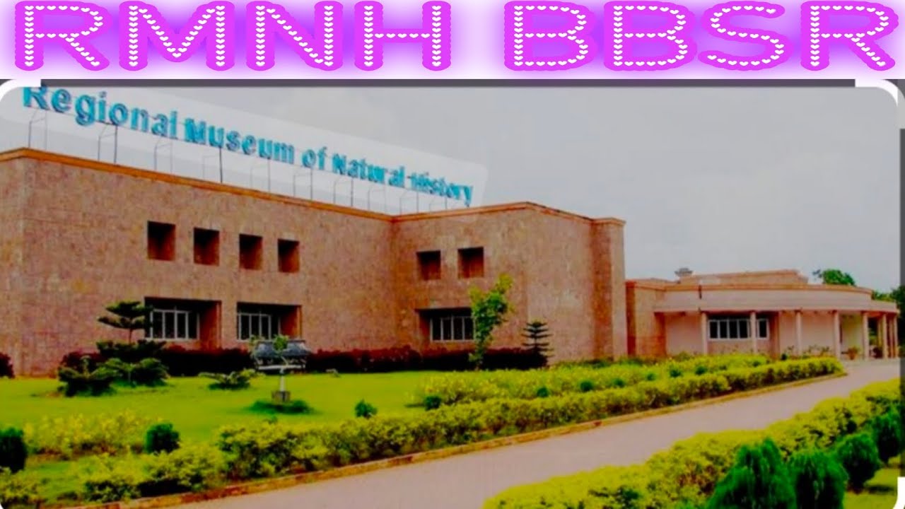Regional Museum Natural History BBSR #vlog_video #vlog_oct9#bbsr_museum ...