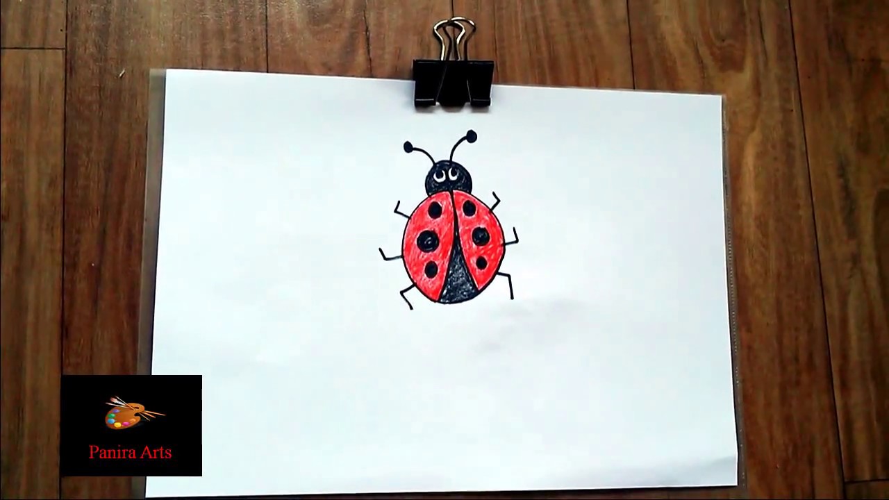 How to draw Ladybug || step by step drawing || learn to draw insect ...