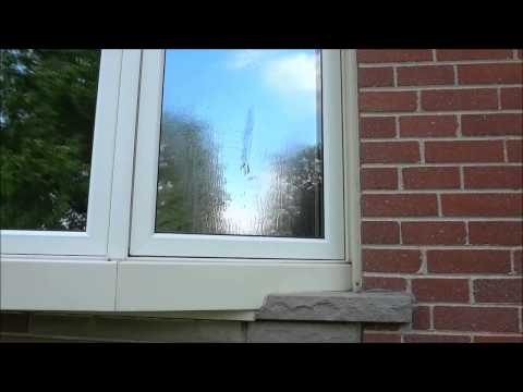 How To Remove Bird Poop From A Window