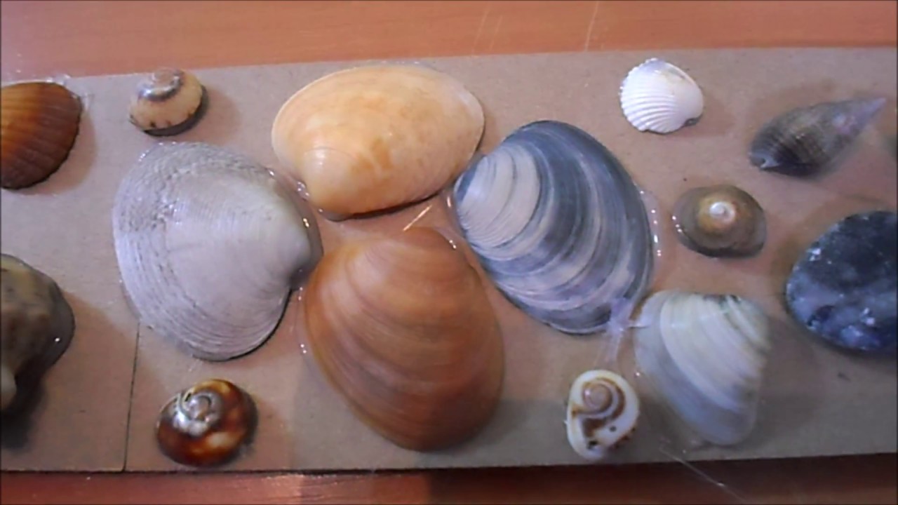 Ce sa faci cu scoicile pe care le-ai adunat de la mare ?! - YouTube