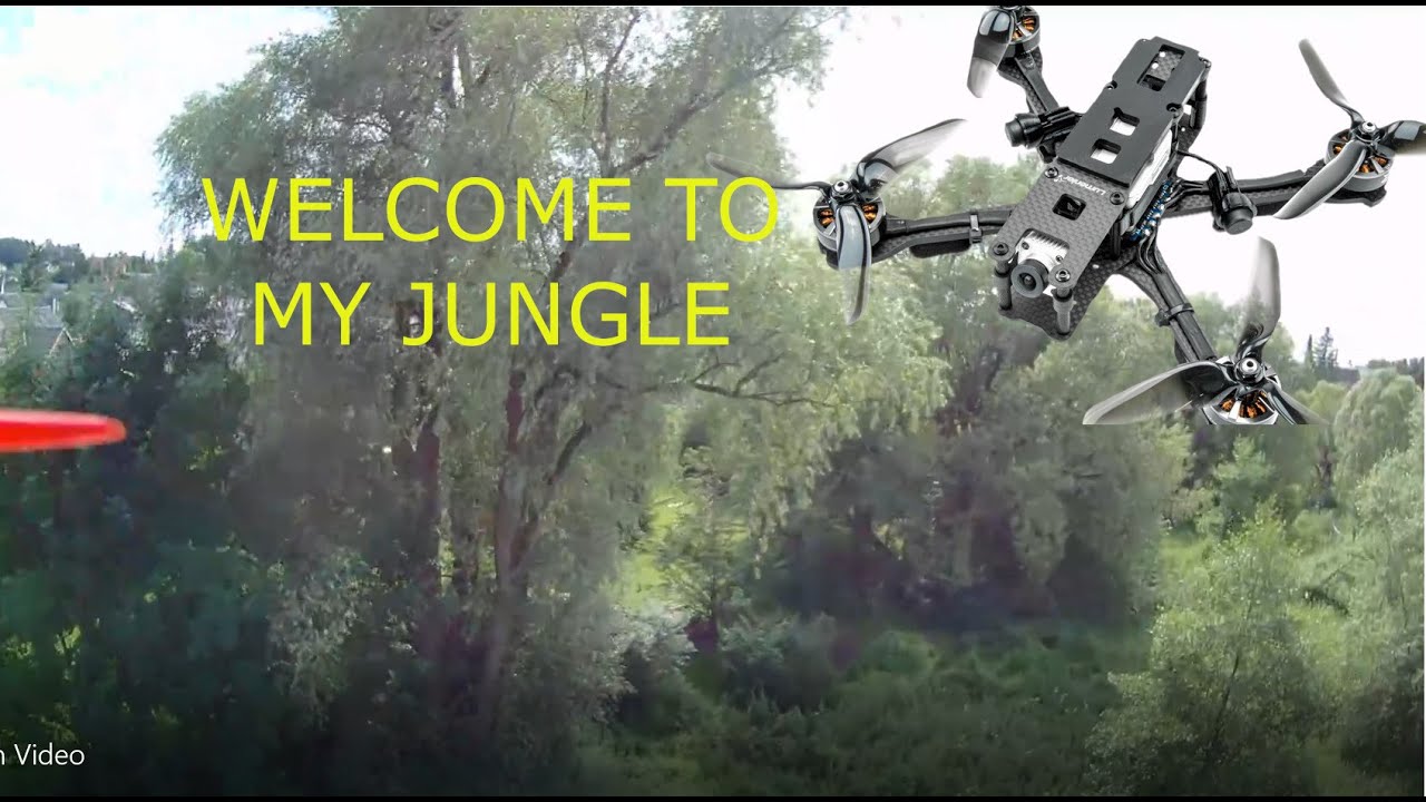 Luke FPV welcome in my jungle - YouTube