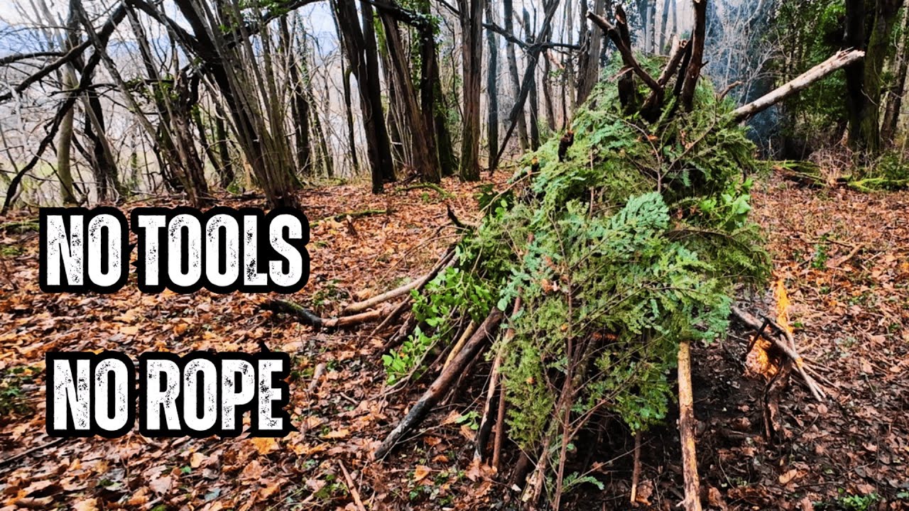 Lost in the Woods with Absolutely NO TOOLS ? Try this Emergency Shelter ...