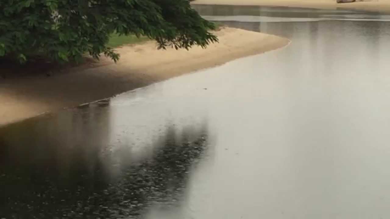 Relaxing Rain Falling on Lake - Meditation, Relaxing, Sleep, Study ...