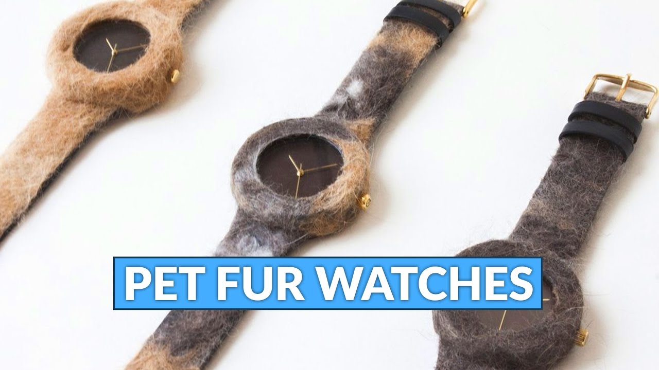 Fur Watches: Get a Watch Made From Your Dog or Cat's Fur - YouTube