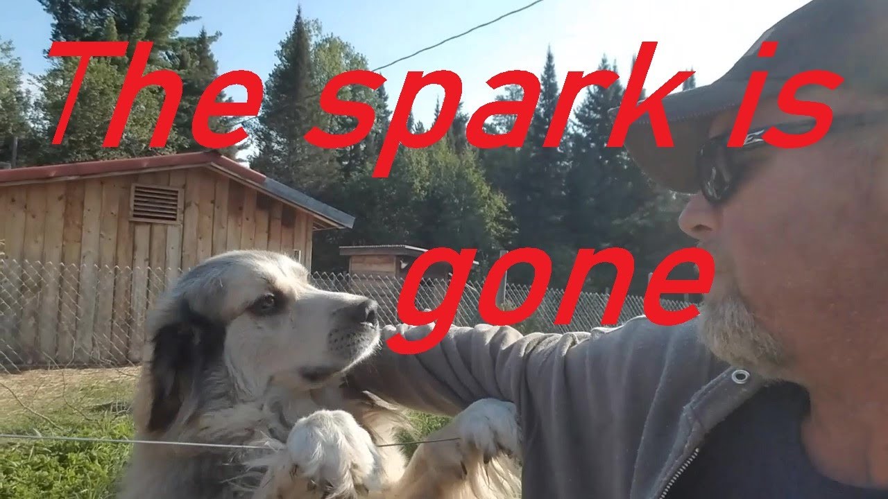 The spark is gone - YouTube