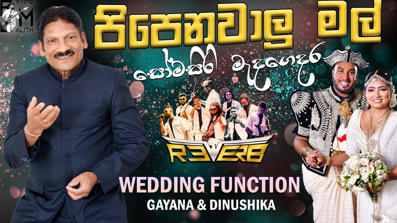 Pipenawalu Mal (පිපෙනවාලු මල් පරවි)සෝමසිරි මැද ගෙදර | Somasiri ...