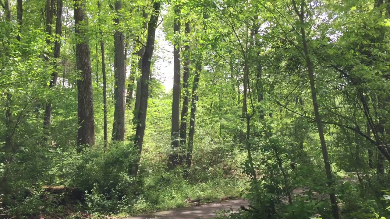 Biking the Sugarland Run Stream Trail - YouTube